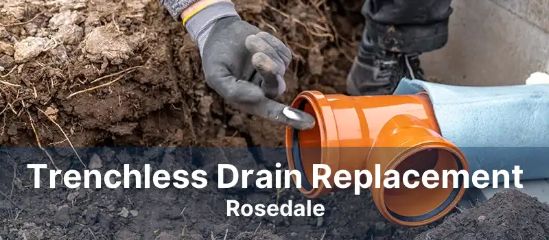Trench Drains Cleaning Rosedale | Trenchless Drain Replacement Specialists